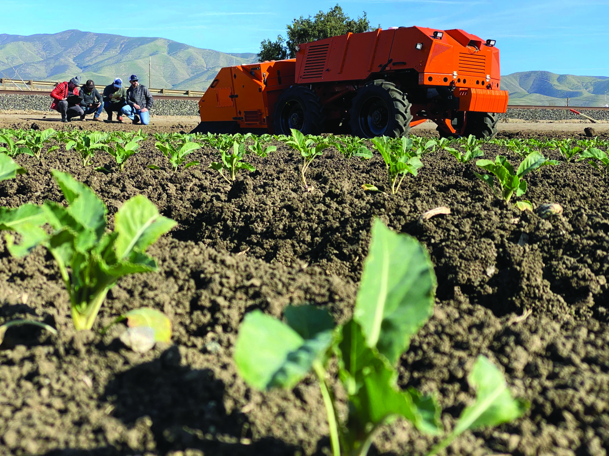 Robotic, mechanical weeder on horizon for no-herbicide farms - Organic ...