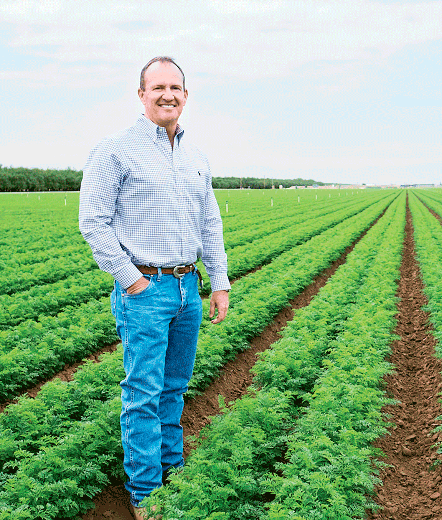 Pioneering work in organics pays off for Grimmway Farms - Organic Grower