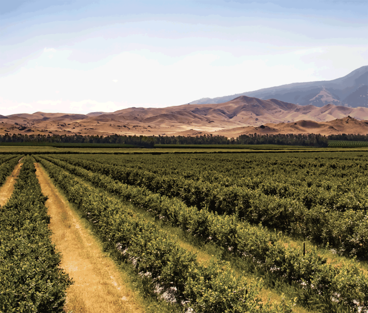 Homegrown Organic Farms' recipe for success - Organic Grower