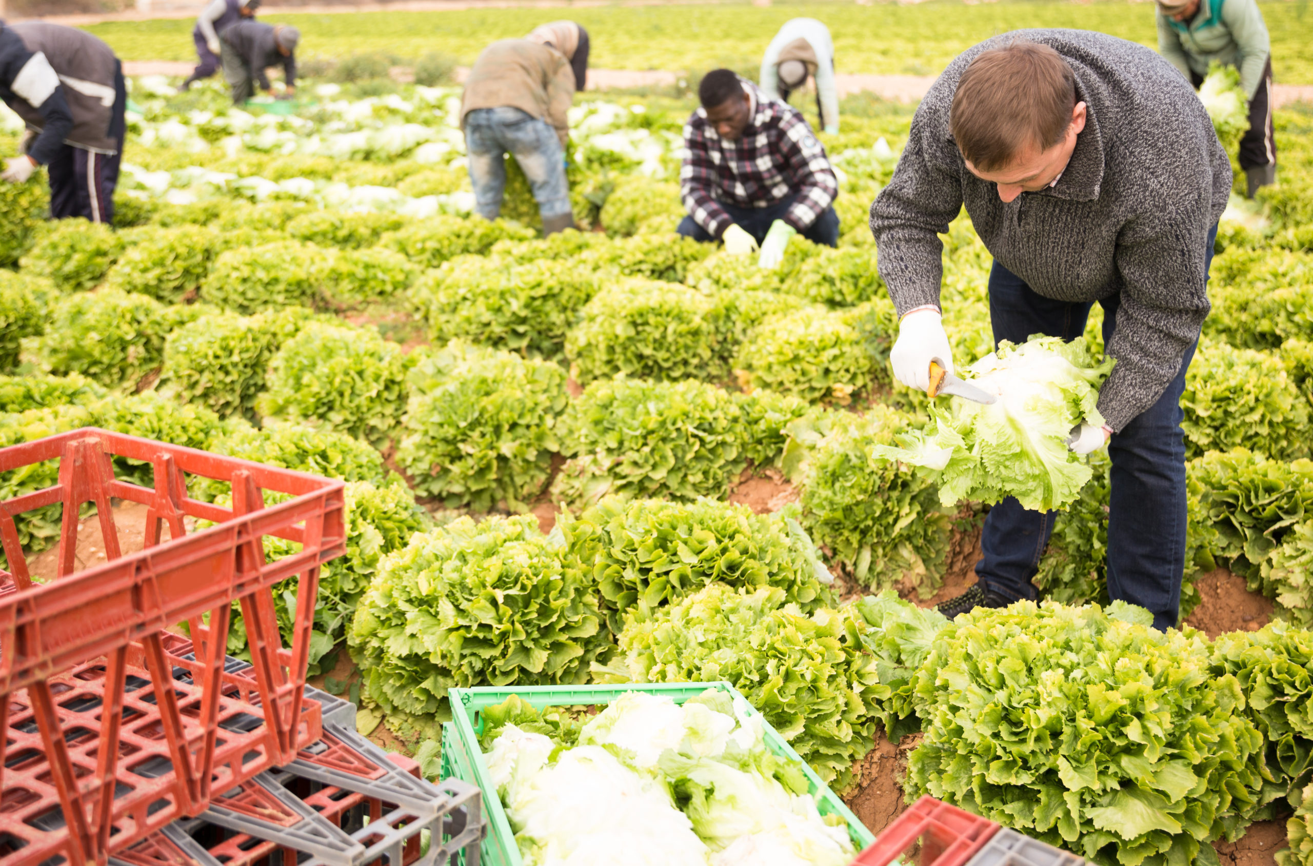 Farm groups push for specialty crop relief as costs rise in 2026 ...