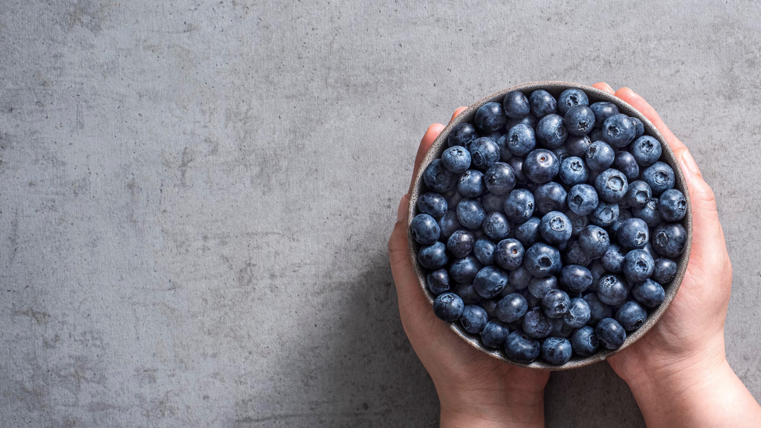 USHBC awards winners of Blueberry Boost Accelerator Pitch Competition ...